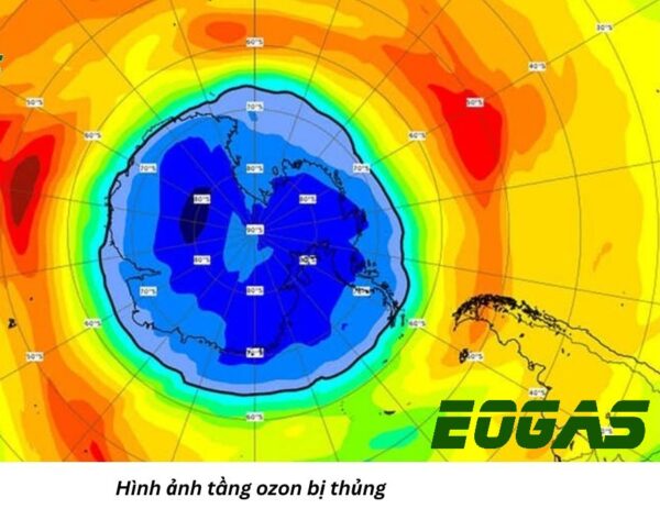 3 Vai Trò Của Tầng Ozon Với Con Người Và Sự Sống Trái đất