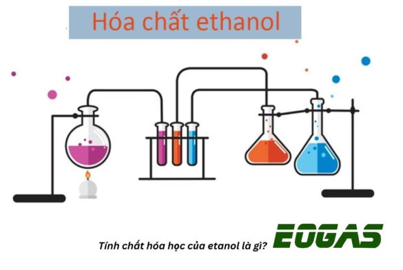 Etanol Là Gì? Tính Chất, Cách điều Chế Và 3 ứng Dụng Chính