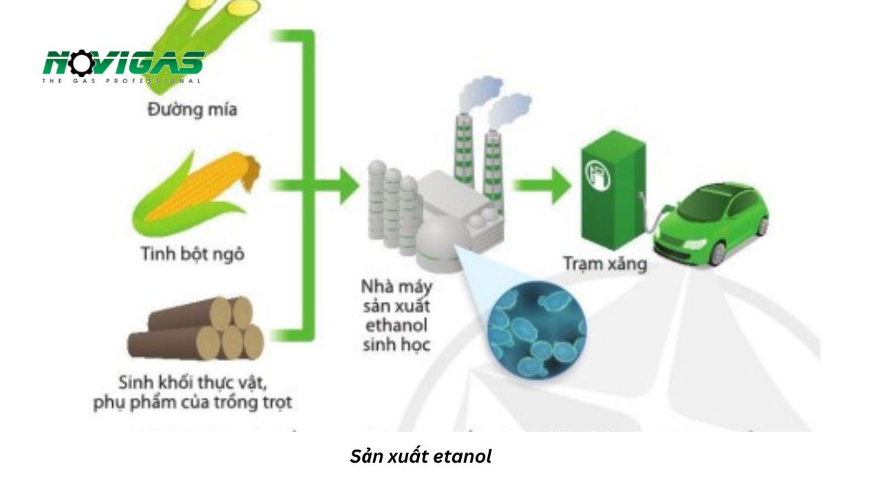 Etanol Là Gì? Tính Chất, Cách điều Chế Và 3 ứng Dụng Chính